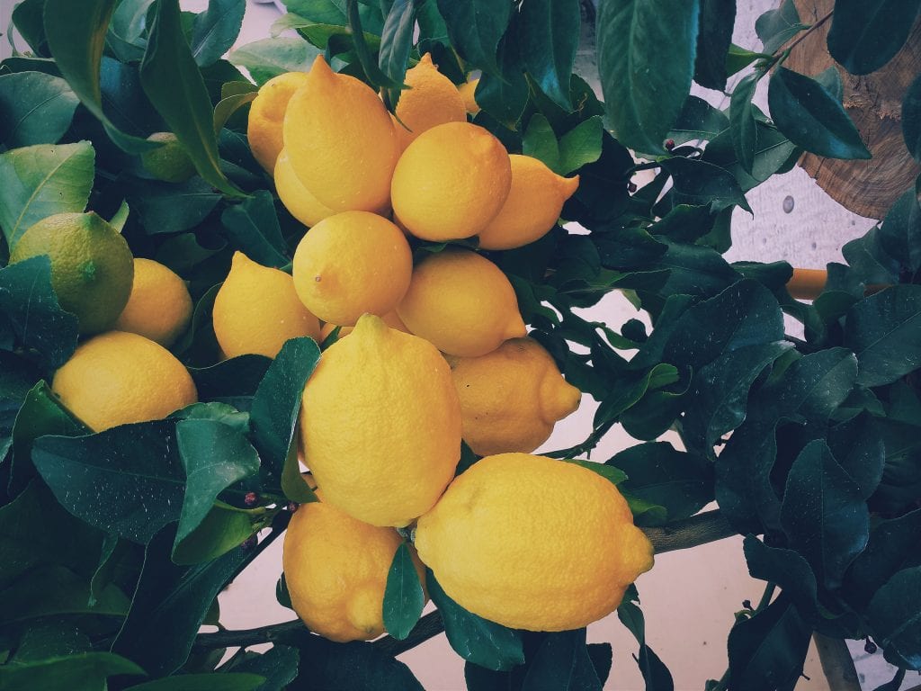 30 Ways to Use Lavender, Lemon, Peppermint + Our Budget Basics Kit